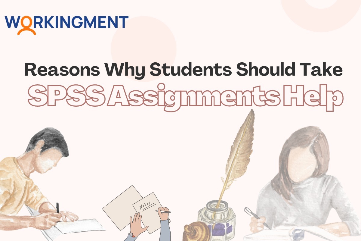 Reasons Why Students Should Take SPSS Assignments Help